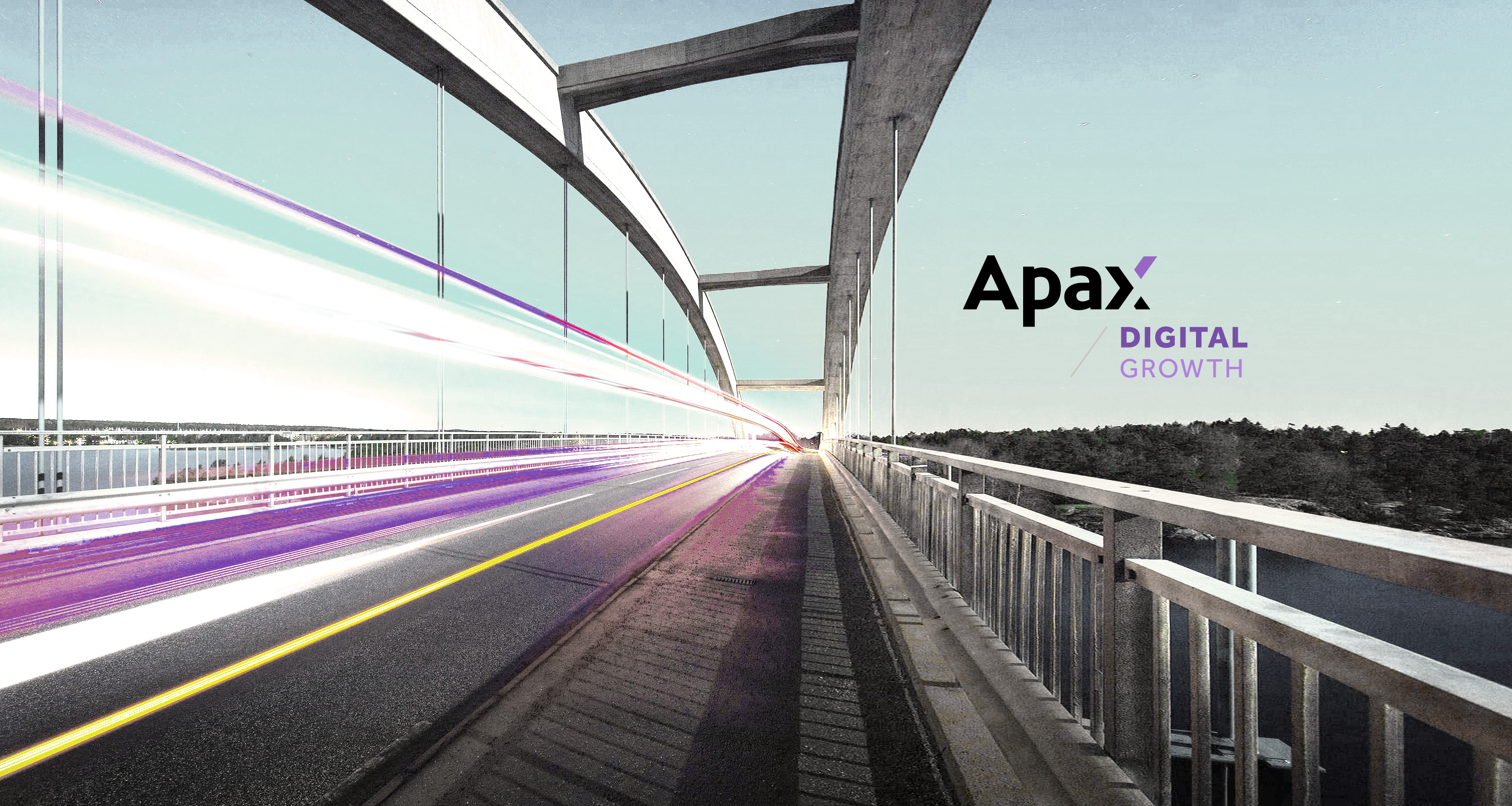 Apax Digital | Strategies | Apax Partners